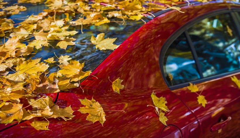 Essential Fall Car Care: Your Complete Guide to Autumn Vehicle ...